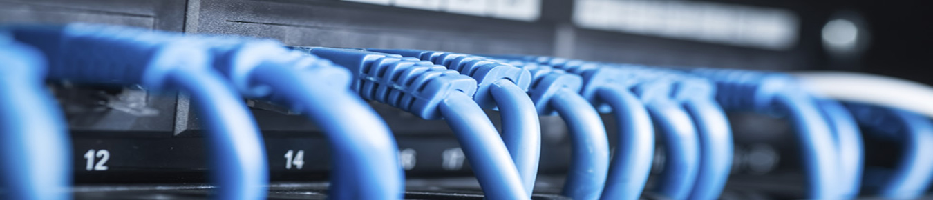 Softlock || Products